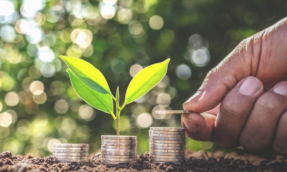 Key components of a successful social value strategy - Social Value Company